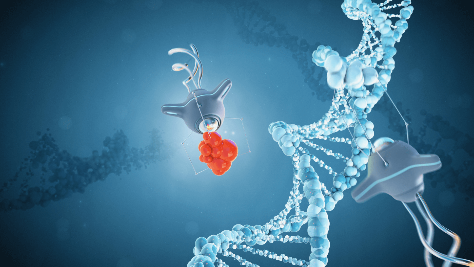 Tiny biological robots help the healing processes