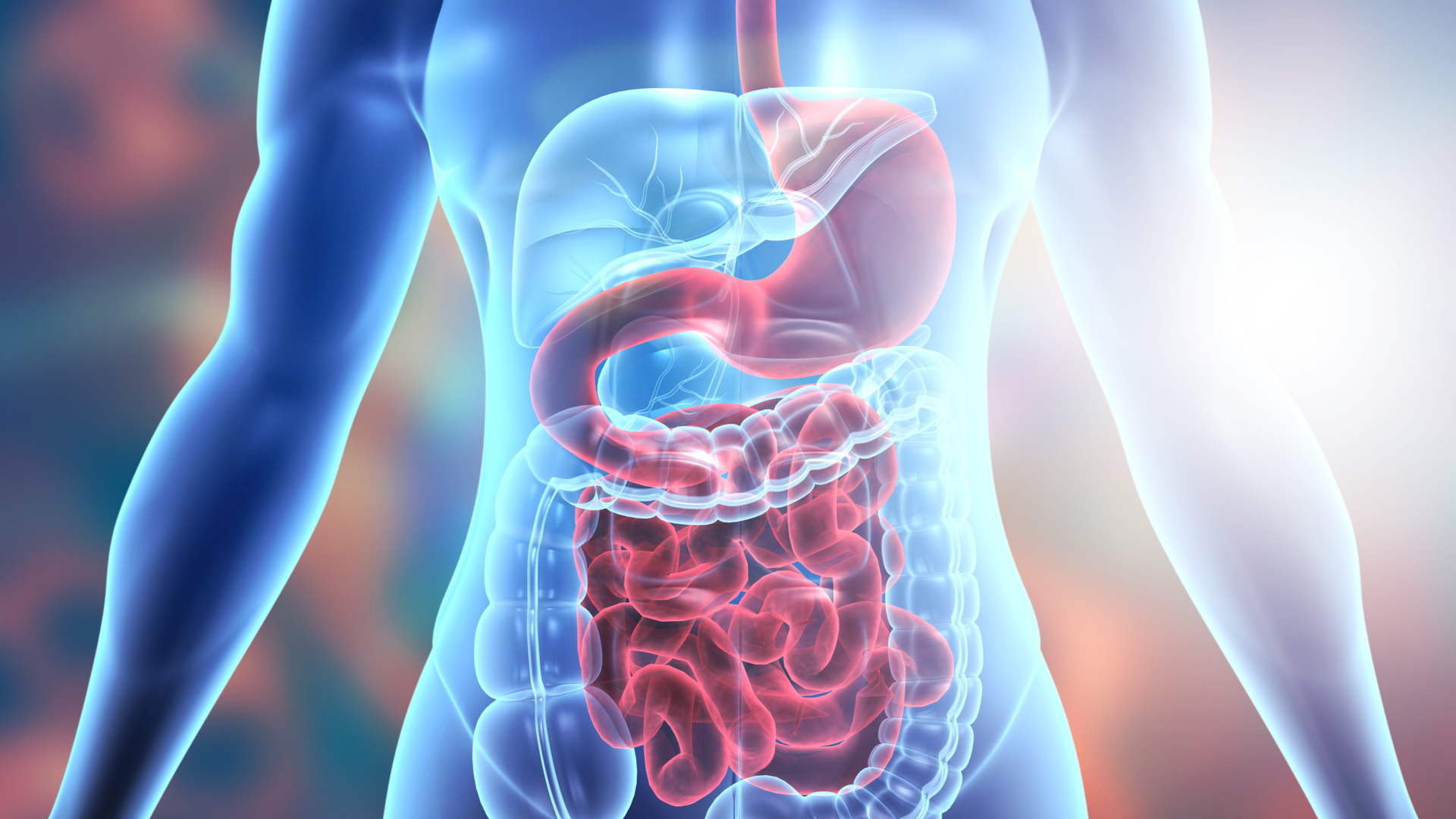 Robotics and medicine: 'Millirobot' has been created to bring medicine ...