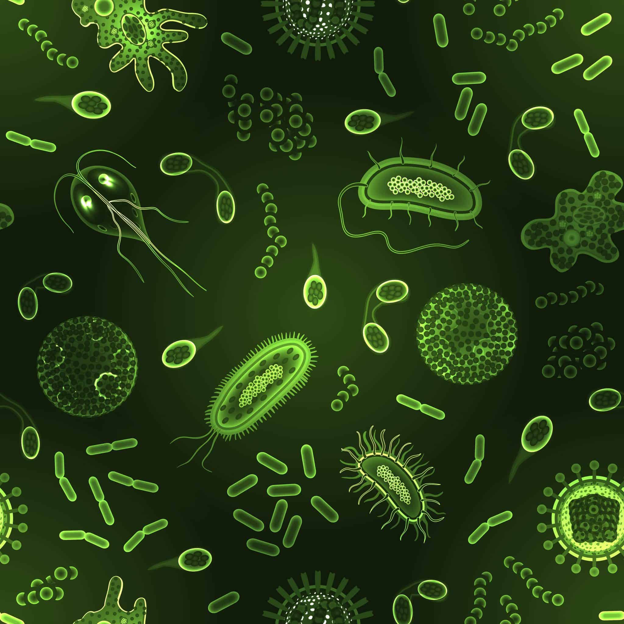 The map of microbial “dark matter” | IBSA Foundation