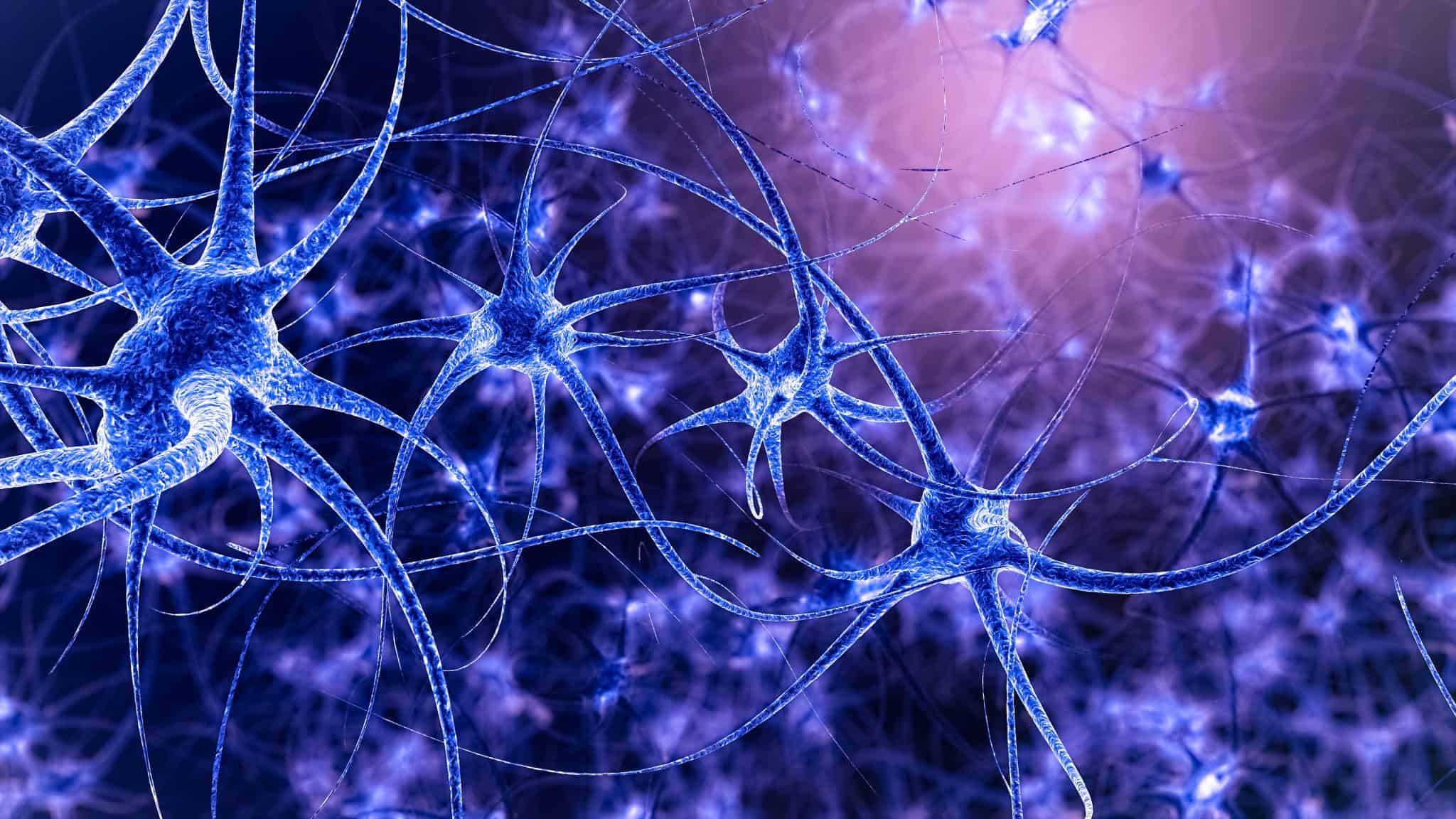 Nel cervello almeno 133 tipi diversi di cellule | Fondazione IBSA