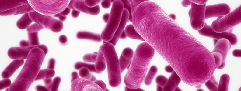 Magnetic bacteria for super-precise anti-cancer treatments | IBSA ...