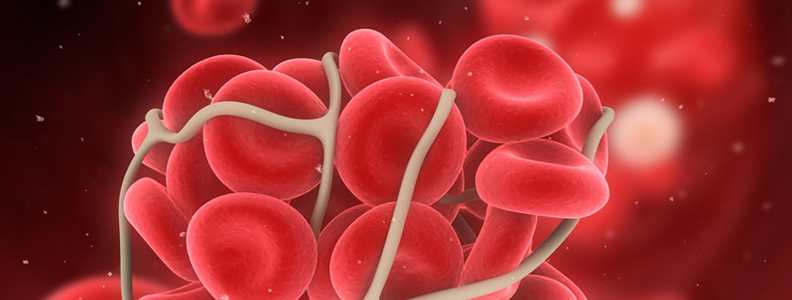A “technological” patch for heart attack damages | IBSA Foundation