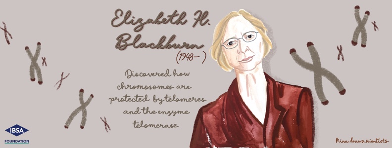 Elizabeth, the explorer of cellular ageing | IBSA Foundation