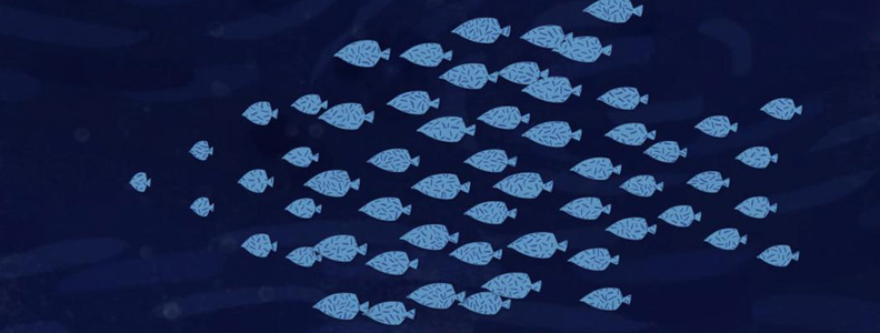Our neurons move like fish | IBSA Foundation
